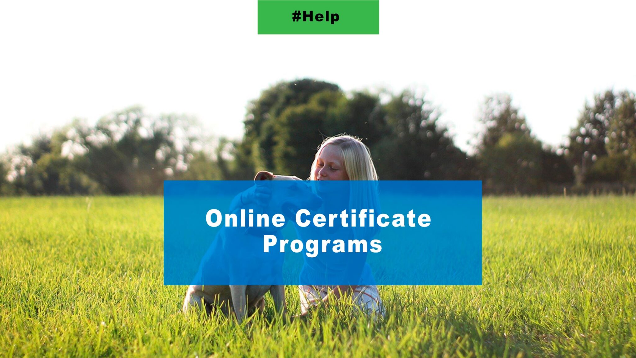 Online Certificate Programs 】- MORE INFORMATION 🥇